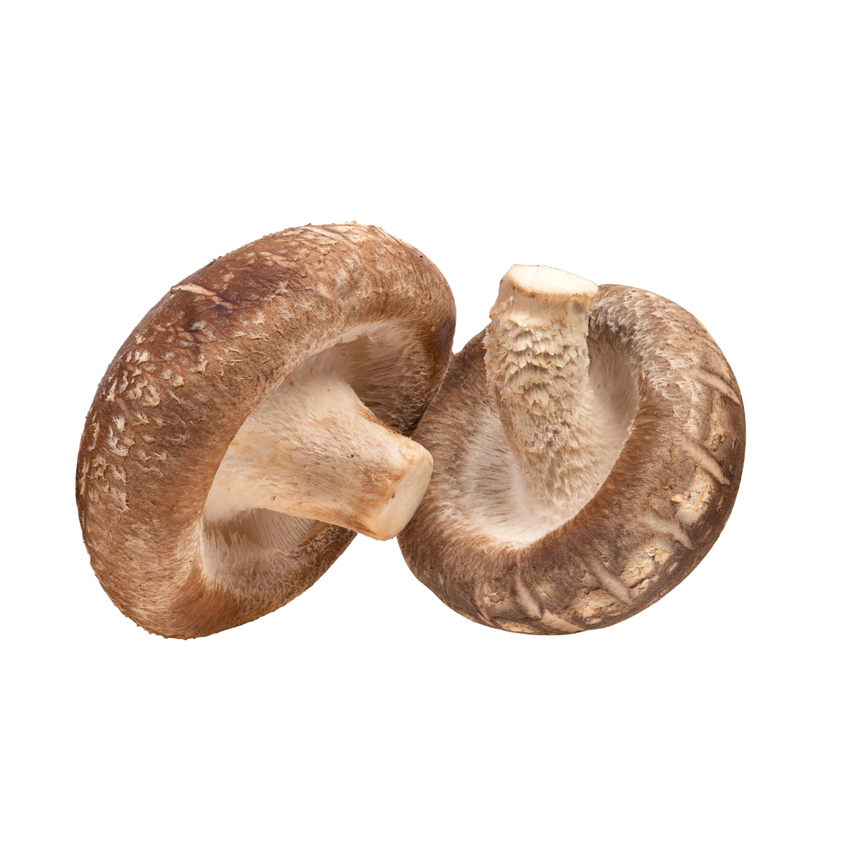 Ingredients – Good Protein