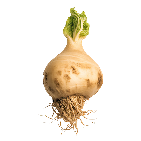 Ingredients – Good Protein